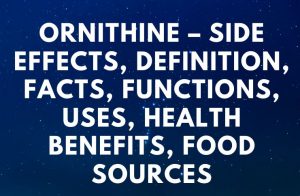Ornithine – Side Effects, Definition, Facts, Functions, Uses, Health ...
