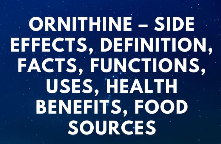 Ornithine – Side Effects, Definition, Facts, Functions, Uses, Health ...